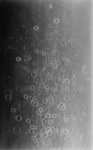 Adam Fuss | martacerveragallery