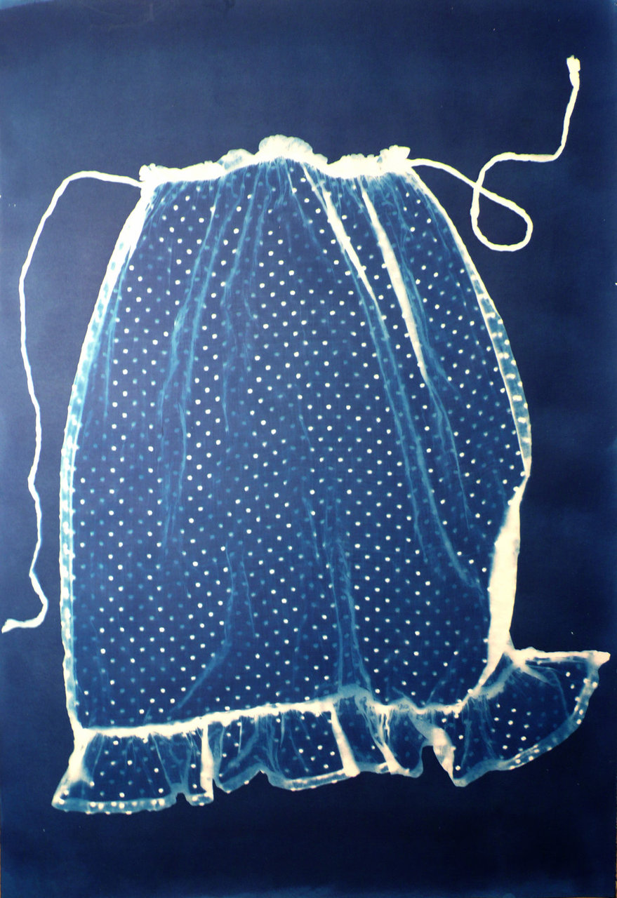 Cyanotypes | Dan Peyton