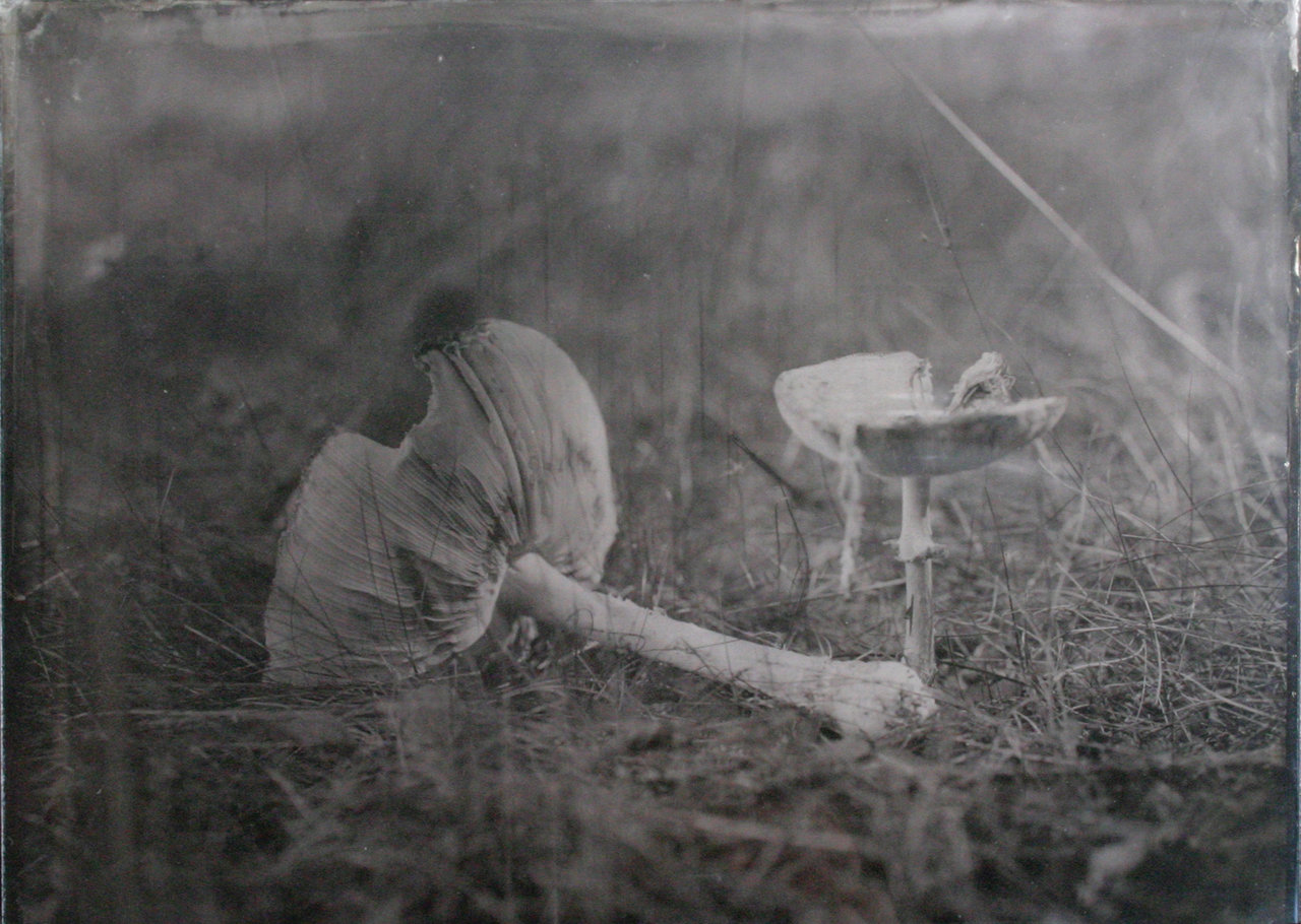 Ambrotypes | Dan Peyton