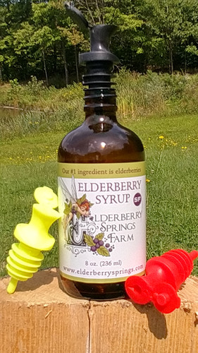 Drip Free Spout Insert | Elderberry Springs