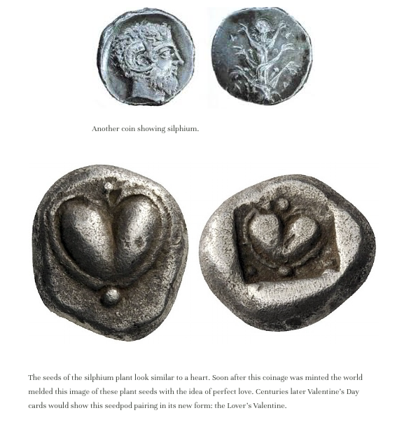 Silphium, the Ancient Birth Control Plant