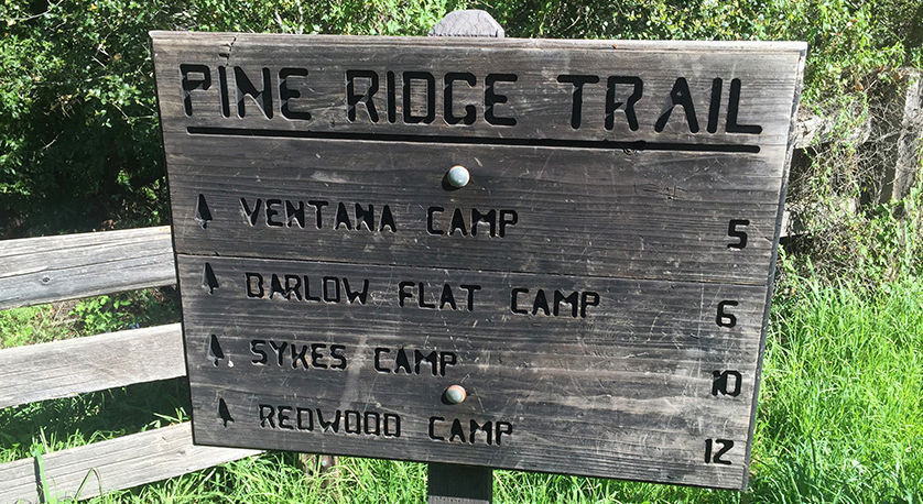 Pine Ridge Trail