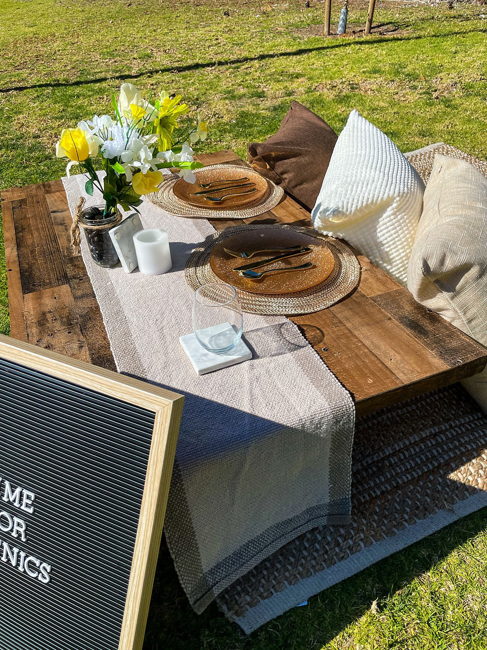 Time For Picnics | Picnic Set Ups