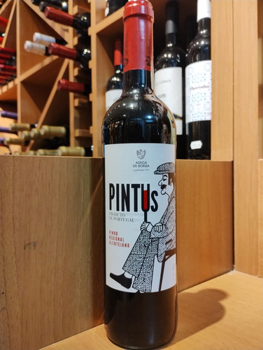 Vinho Tinto Português Pintus 750ml | Wine Spot Adega