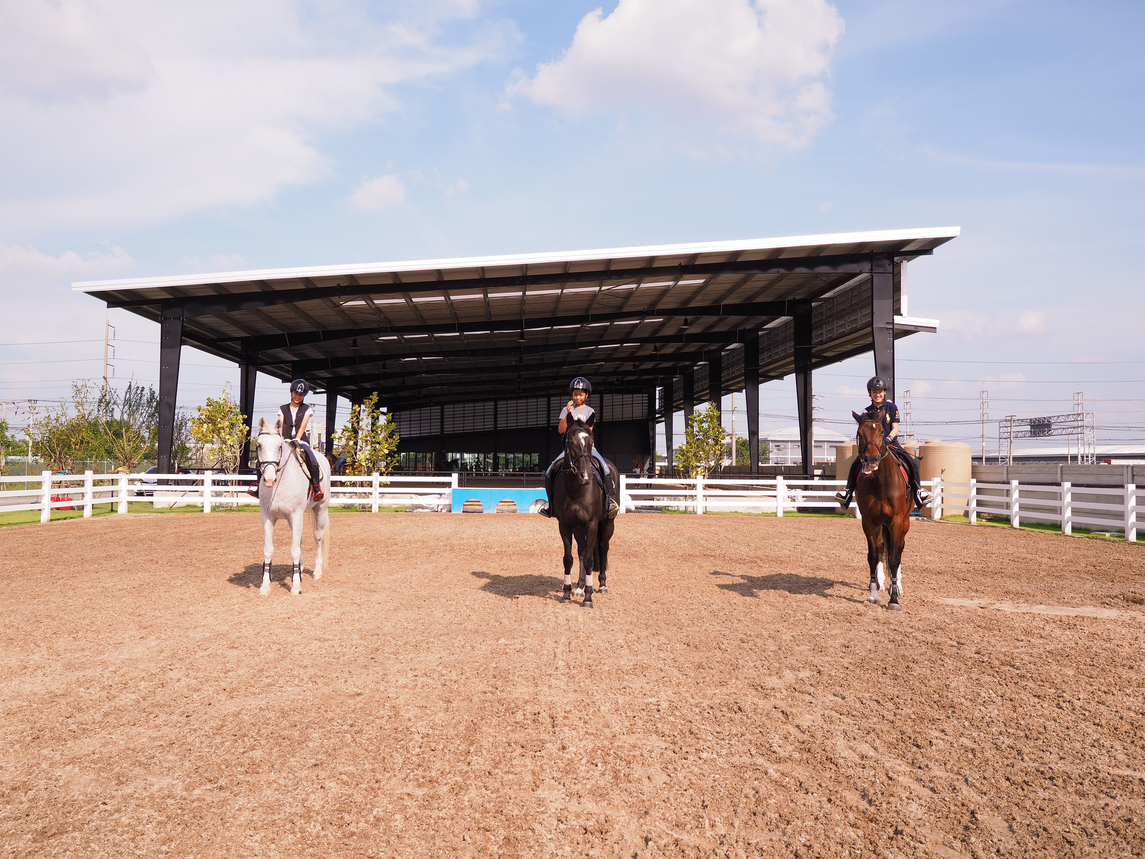 เกี่ยวกับเรา | Checkmate Horse Club