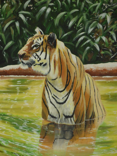 Cooling Off - Bengal Tiger | Art-hub (Artizan)