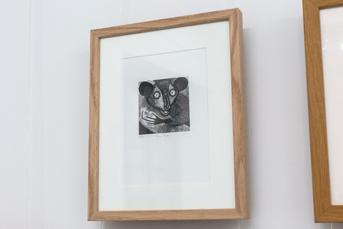 Aye-Aye | Art-hub (Artizan)