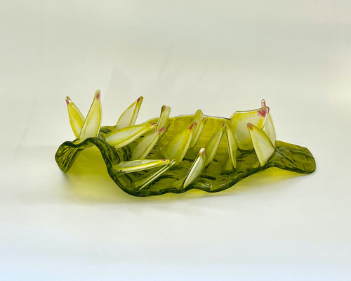 Green Nudibranch | Art-hub (Artizan)
