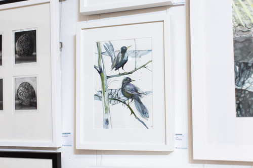 Observers | Art-hub (Artizan)