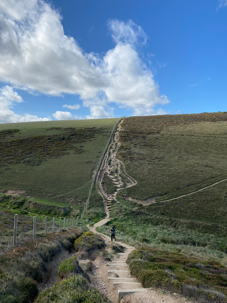 Reflections at the half-way mark - Artizan Torbay