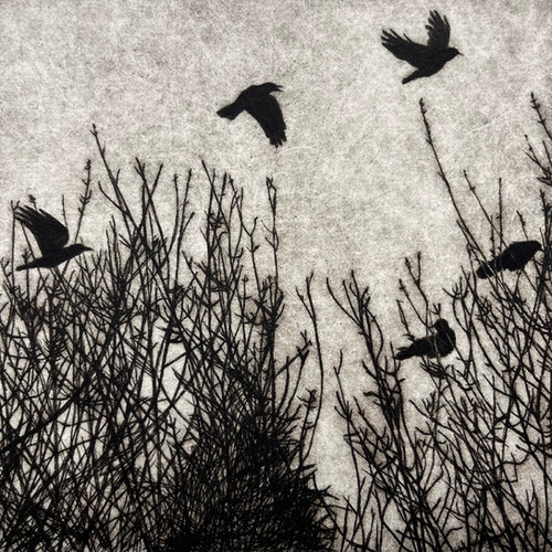 Our Rooks | Art-hub (Artizan)
