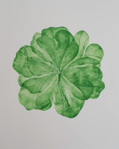 Indian Mallow Green | Art-hub (Artizan)