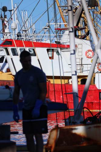 Brixham Fish Quay | Art-hub (Artizan)