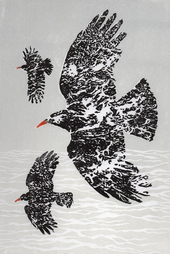 Cornish Choughs | Art-hub (Artizan)