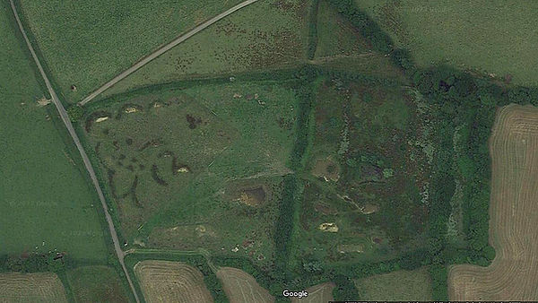 Home | Roborough Rewilders | Environmental project in Devon UK