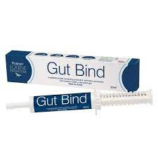 Gut Bind - Single Syringe | Codham Park Animal F
