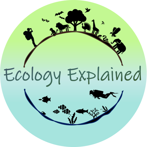 Ecology Research Explained