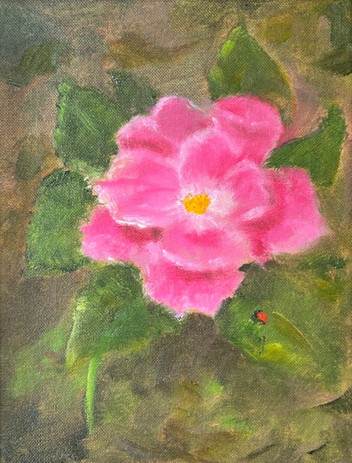 Kate Emery | Connecticut Artist