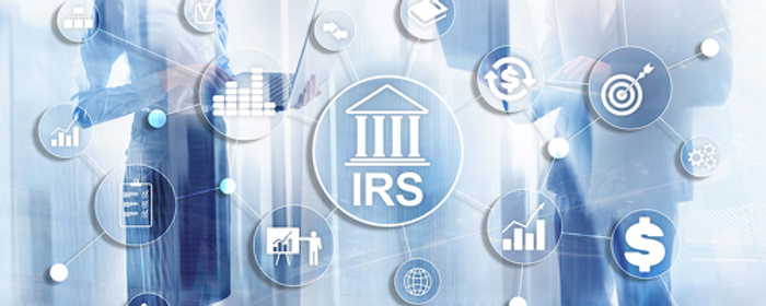 Peek Inside the Mind of an IRS Auditor