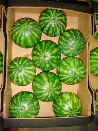 Melopen | Grupo Peninsula