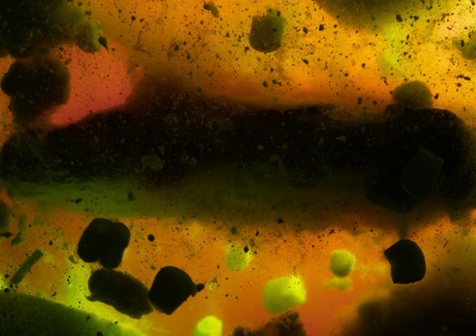 Still Life Prints | Jason Horowitz Fine Art | United States