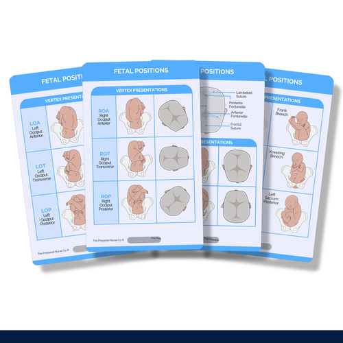 Midwifery Reference Cards - Fetal Positions