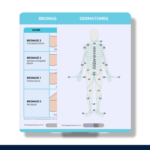 Nurse Reference Card - Dermatomes & Bromage Scoring