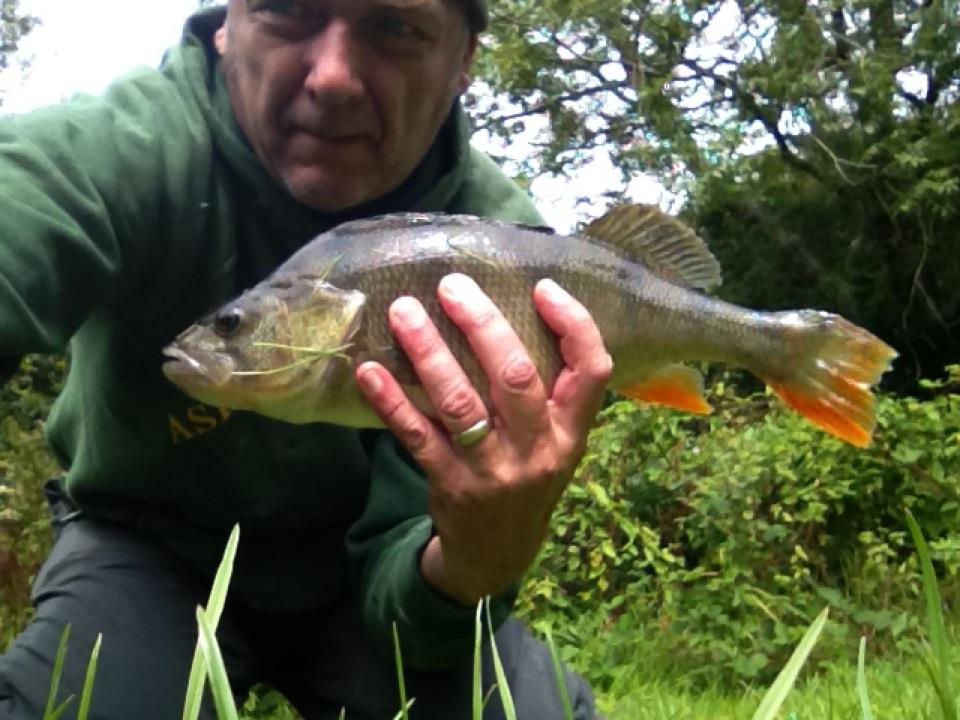 Hall of Fame | mysite