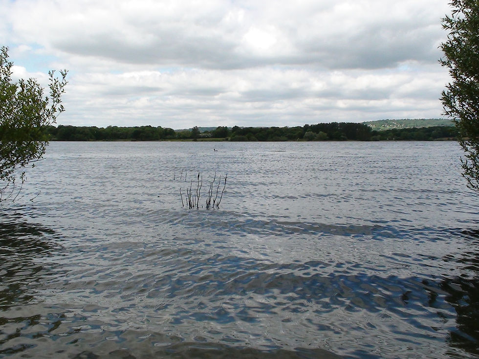 Bough Beech Reservoir | mysite