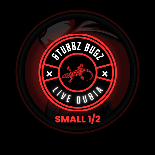 Live Dubia 1/2 | Stubbz Bugz