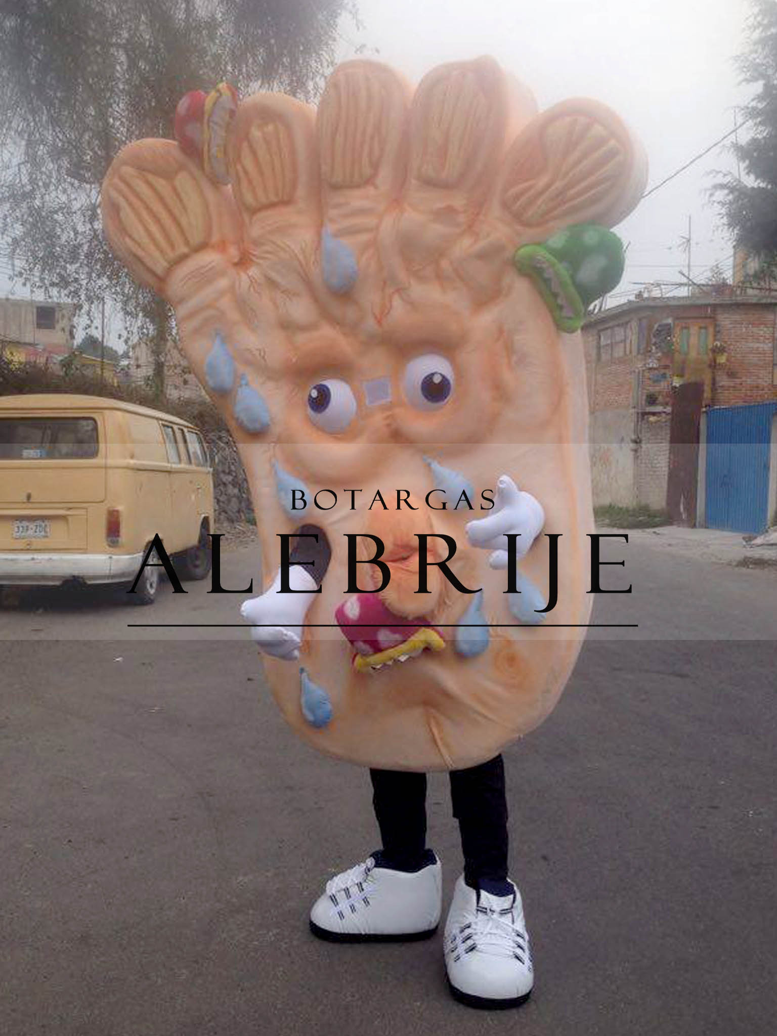 PUBLICITARIAS | botargasalebrijee