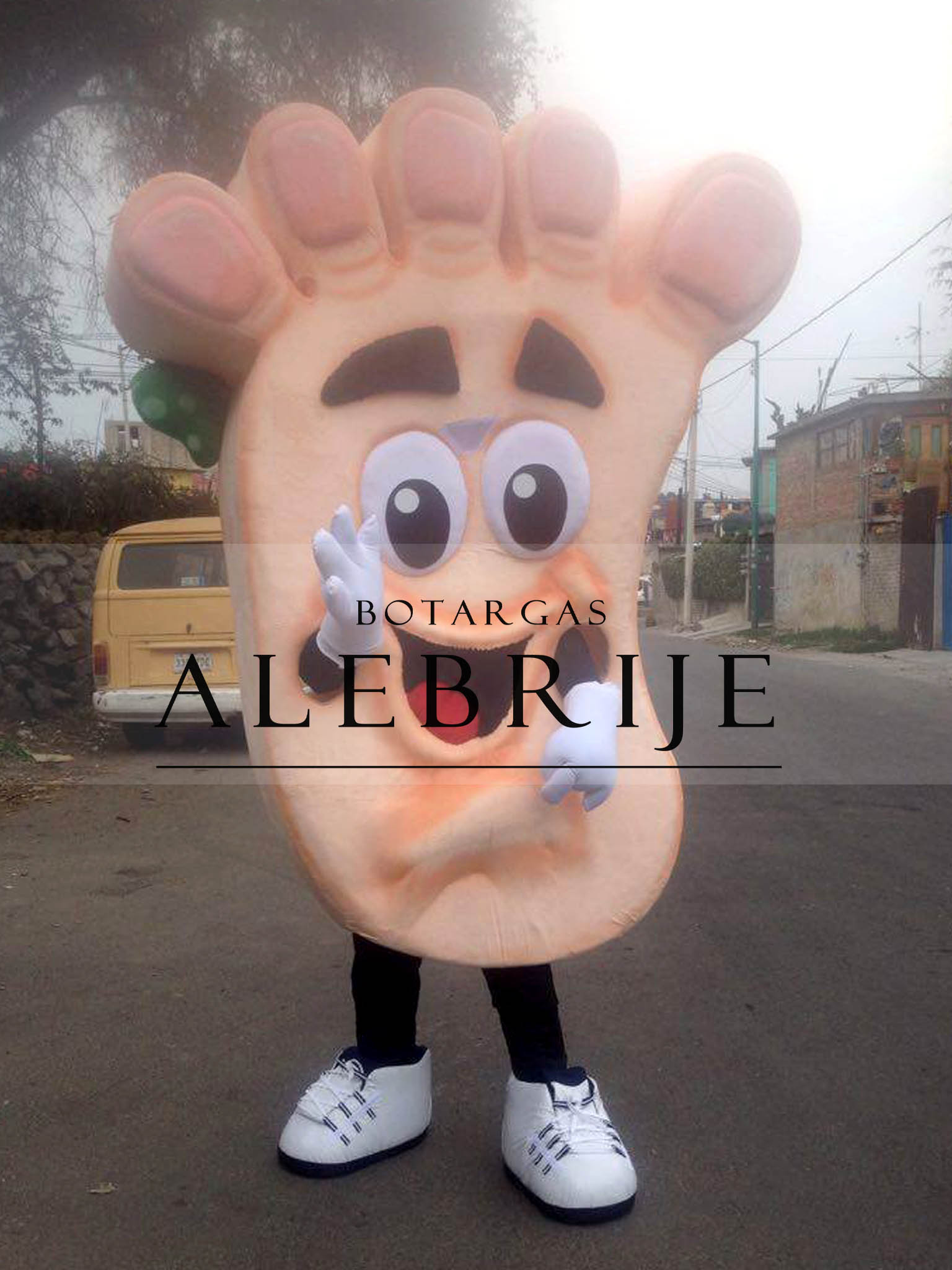 PUBLICITARIAS | botargasalebrijee