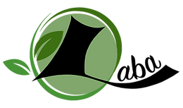 Turra Holdings Limited | Laba Holdings Ltd