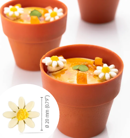 Small Daisy | Pastry Chef Resource