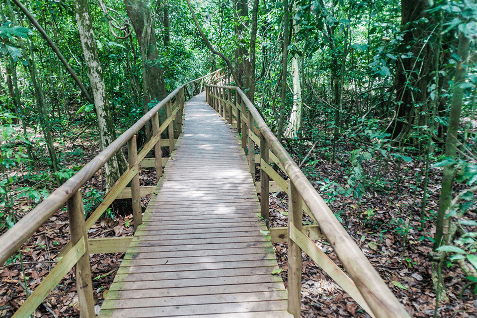 Les meilleures choses à faire à Manuel Antonio, Costa Rica