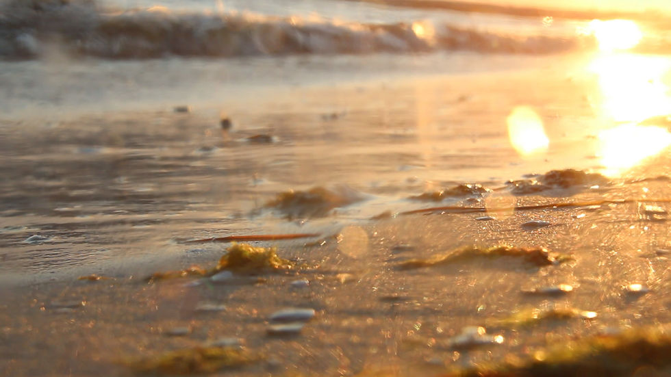 2024 Experience | Geauxplayhooky