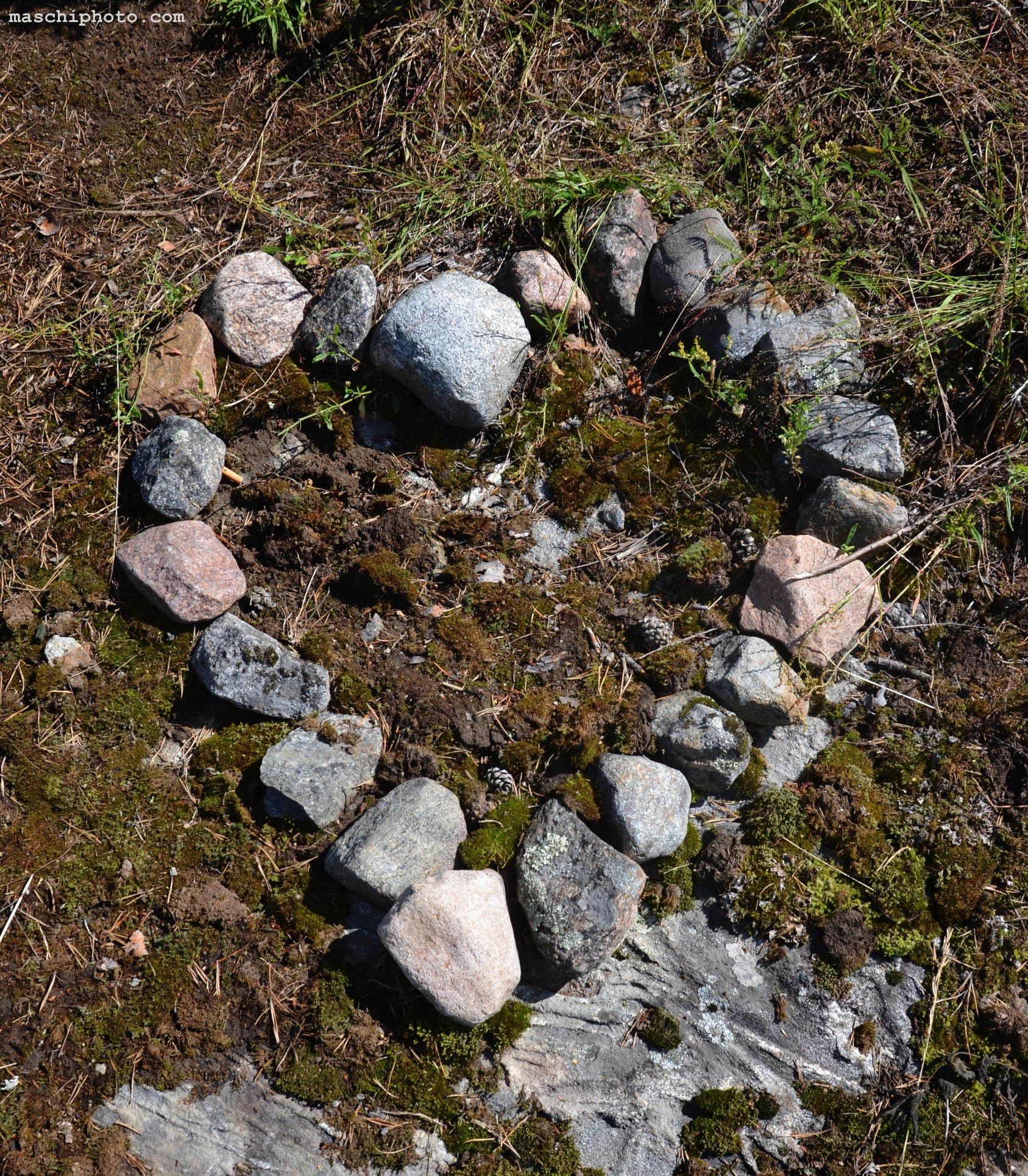 Rainbow tribe and Ting family | maschi-photo
