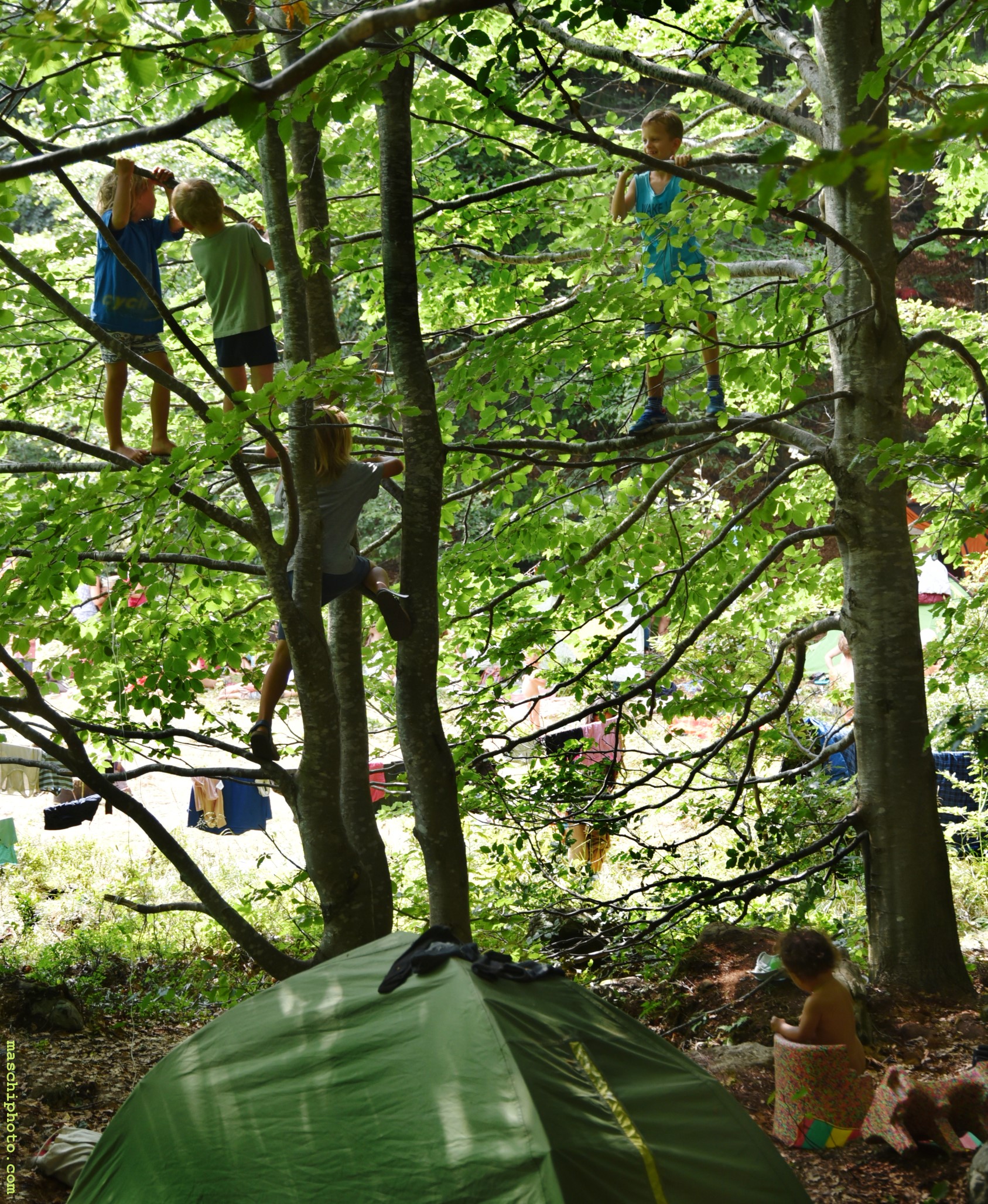 Rainbow tribe and Ting family | maschi-photo