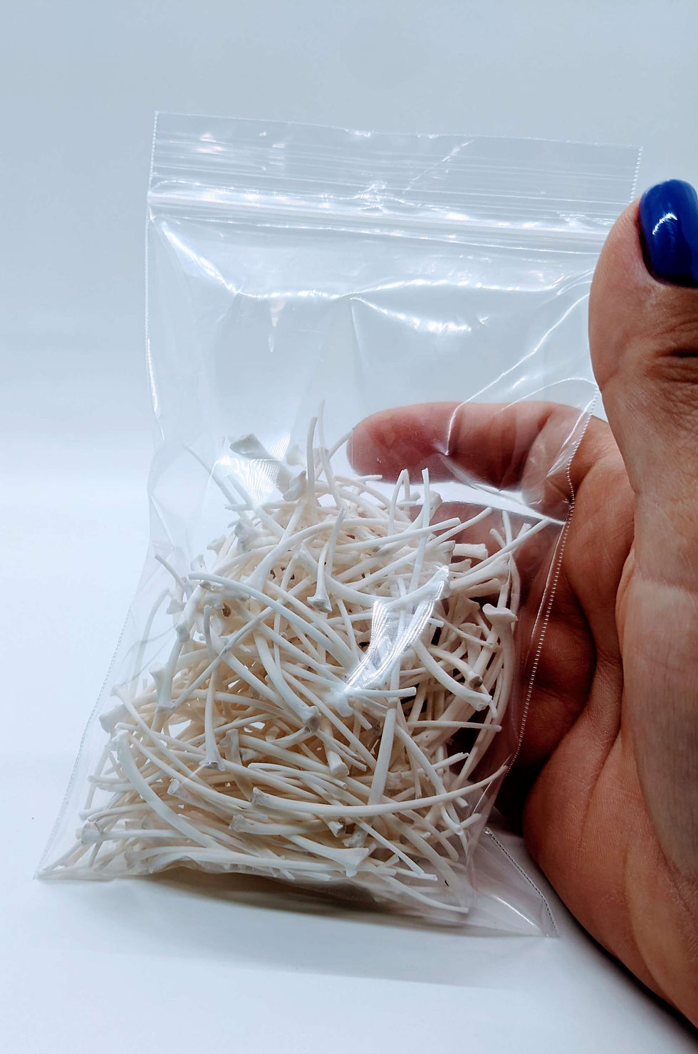 Bone Bits | Bone Boutique