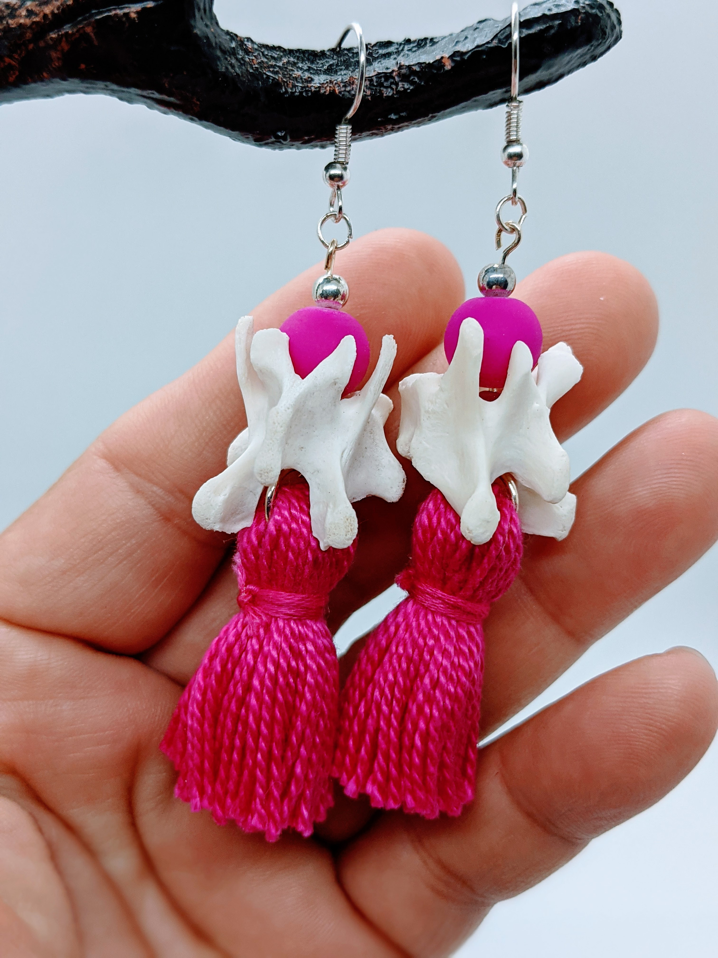 The Raccoon Collection 100% Real Animal Bone Jewelry| Bone Boutique