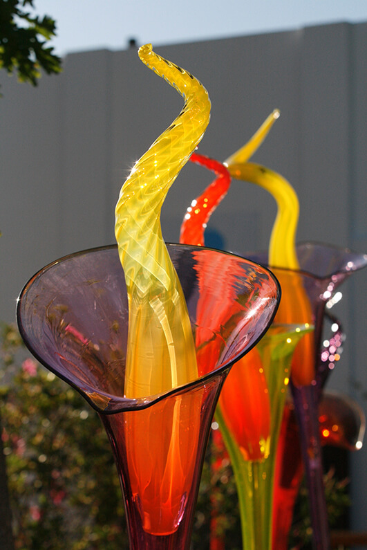 Red Hot Glass| Features & Installations Gallery