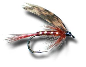 A Dozen Funky Fly Names