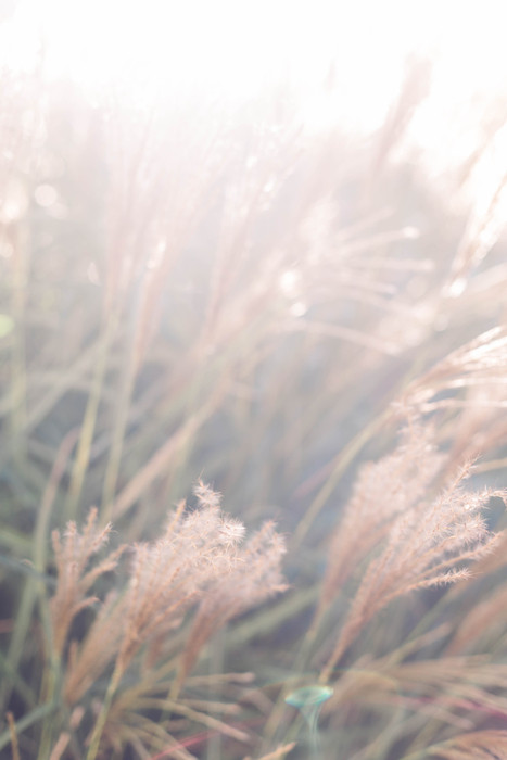 Understanding the Difference: Energy Sharing vs. Energy Attachment