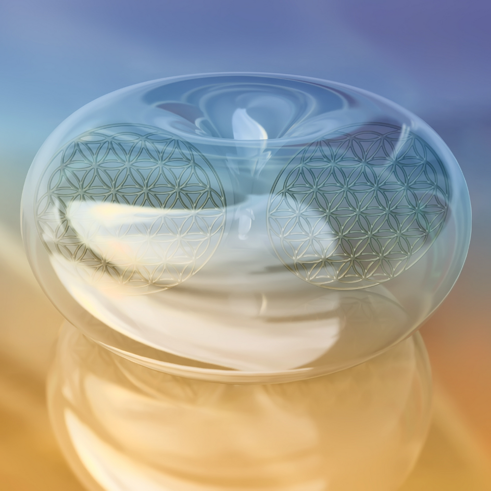 Why Is Everyone Talking About Torus Fields?