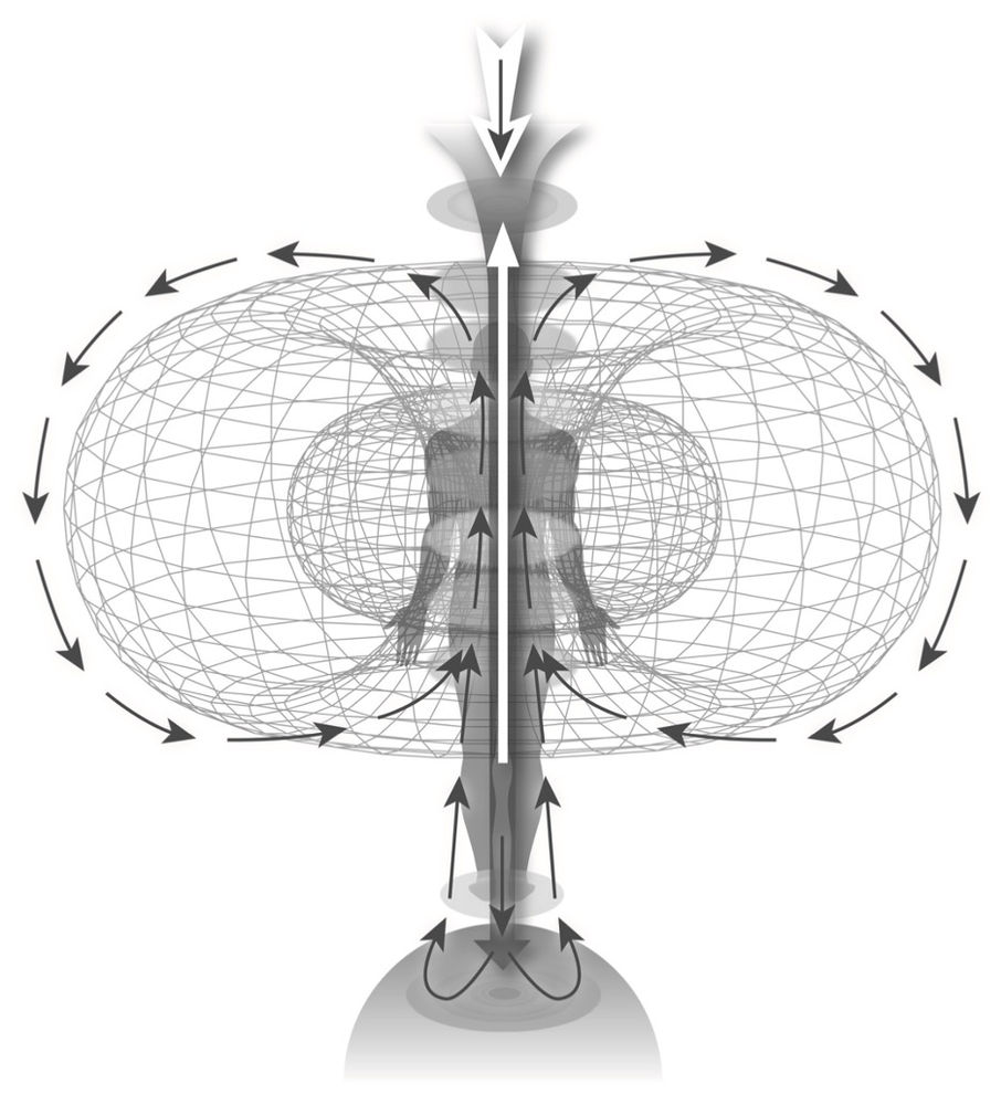 Why Is Everyone Talking About Torus Fields?