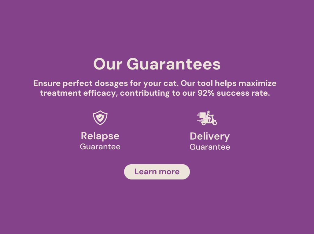 Basmi FIP's Delivery Guarantee | Basmi FIP India