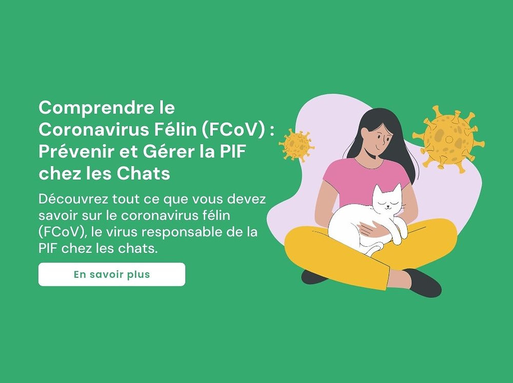 Comprendre le Coronavirus Félin (FCoV) : Prévenir et Gérer la PIF chez ...