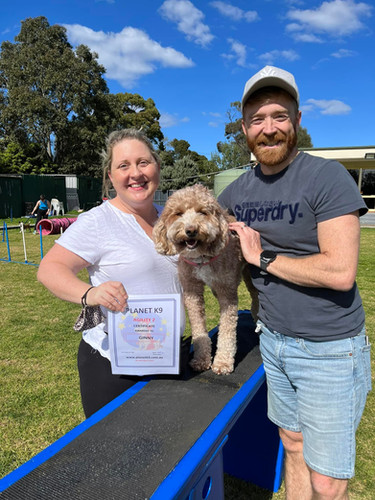 Agility Level 1 | Planet K9 Training