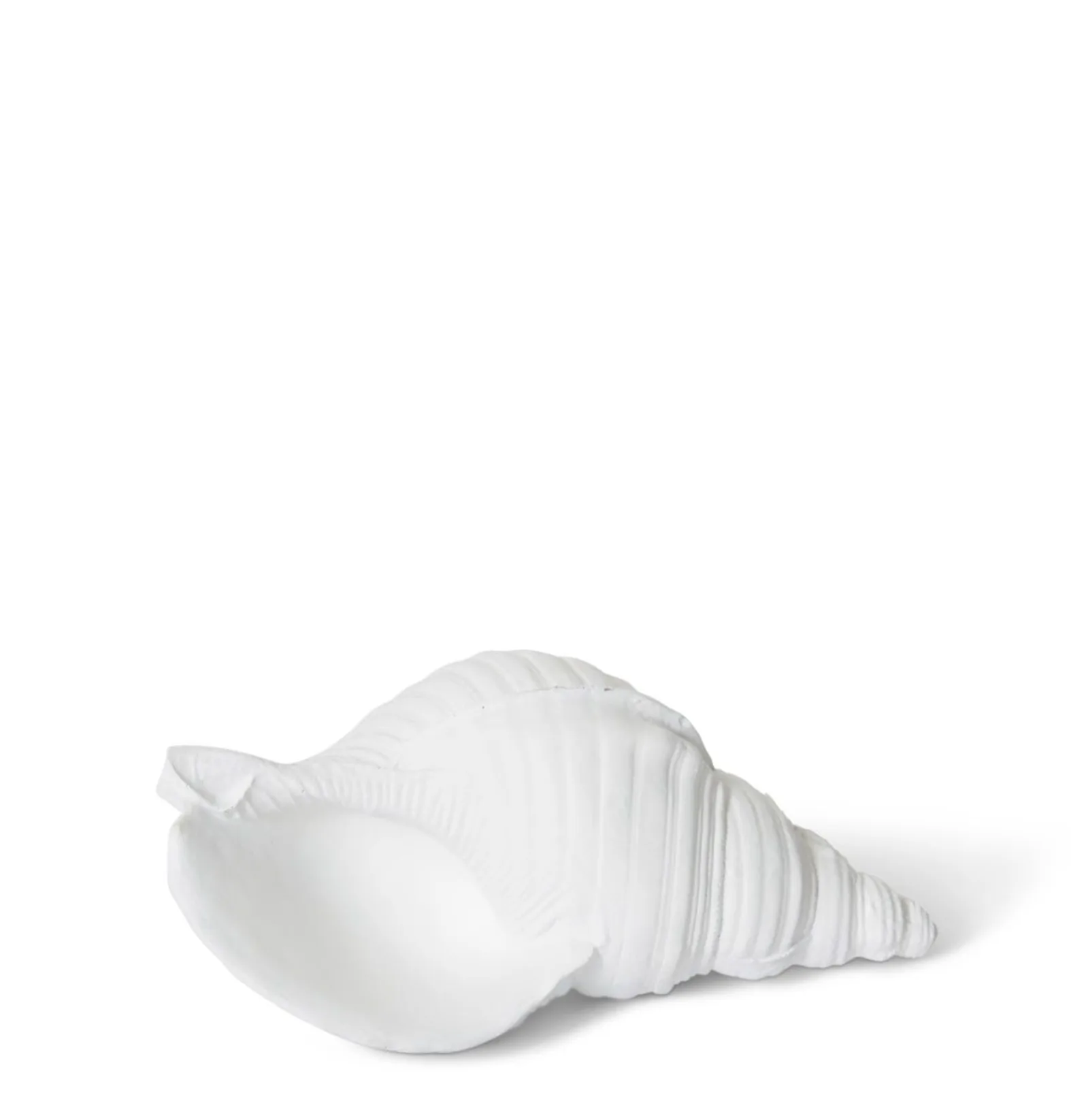 Conch Shell Sculpture | The Zinnia Edit