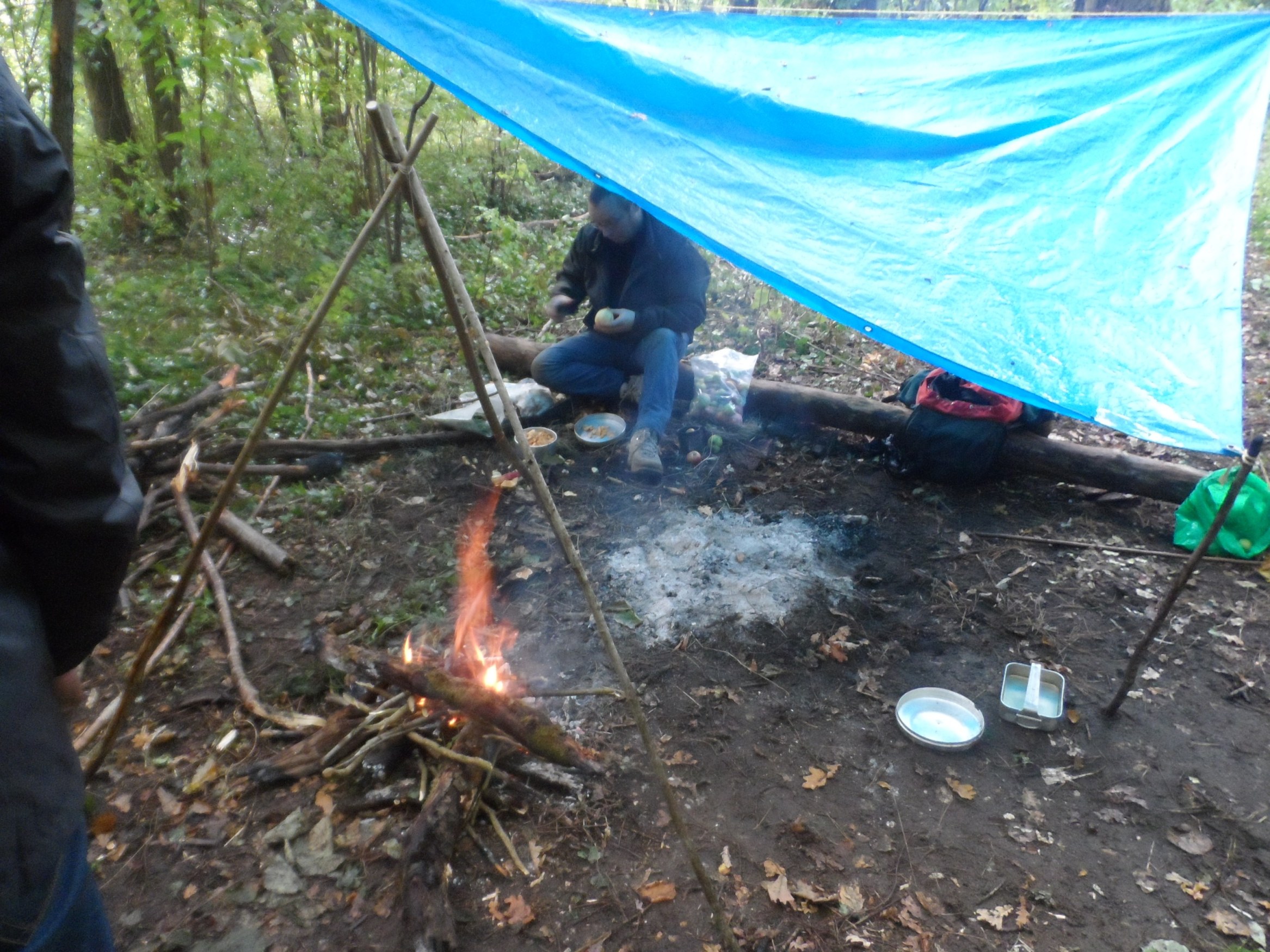 Photos des stages de survie en forêt